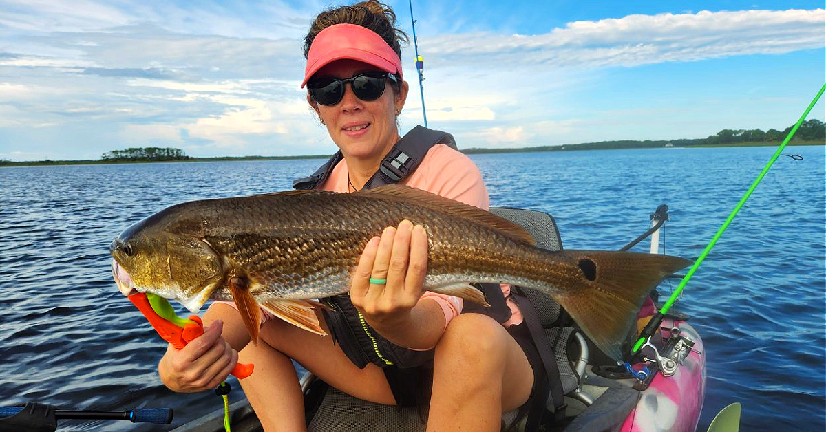 Shrimp Lures, BIG Fish, Gold Digger BOMBER (Salt Strong Newsletter)