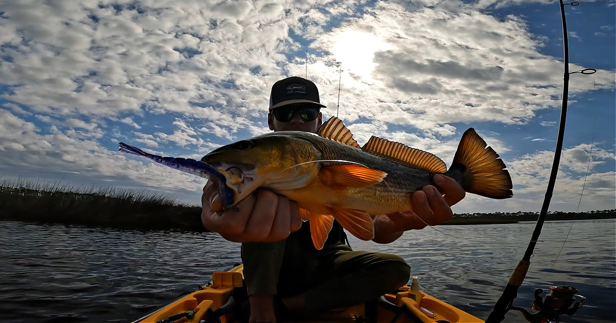 Moonwalker SBD, Jighead Barbs, Baitcasting (Salt Strong Newsletter)