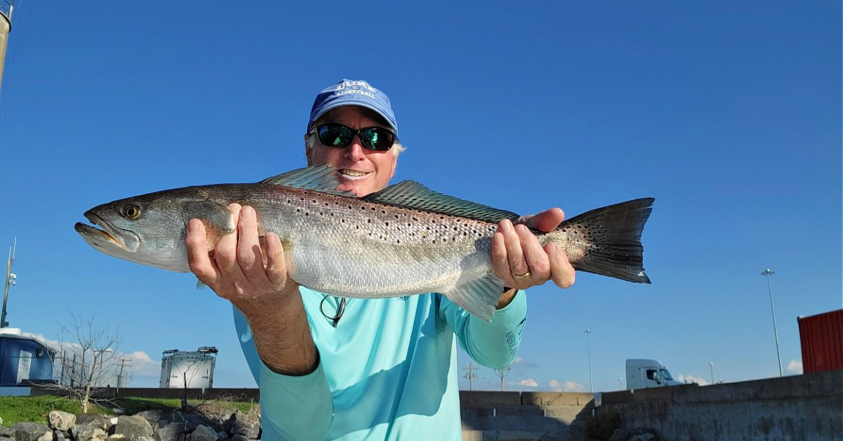 Redfish Panel, Live Shrimp Tips, Popping Corks (Salt Strong Newsletter)