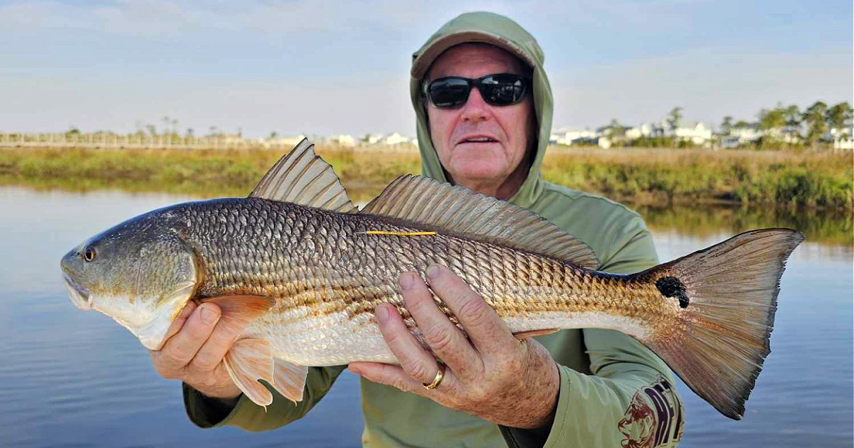 Redfish Lures, Summer Fishing, Cheat Sheets (Salt Strong Newsletter)