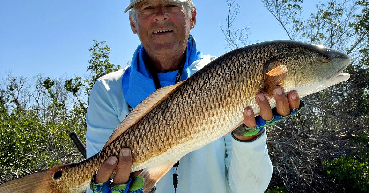 Sight Fishing, Topwater Lures, Penn Reels (Salt Strong Newsletter)