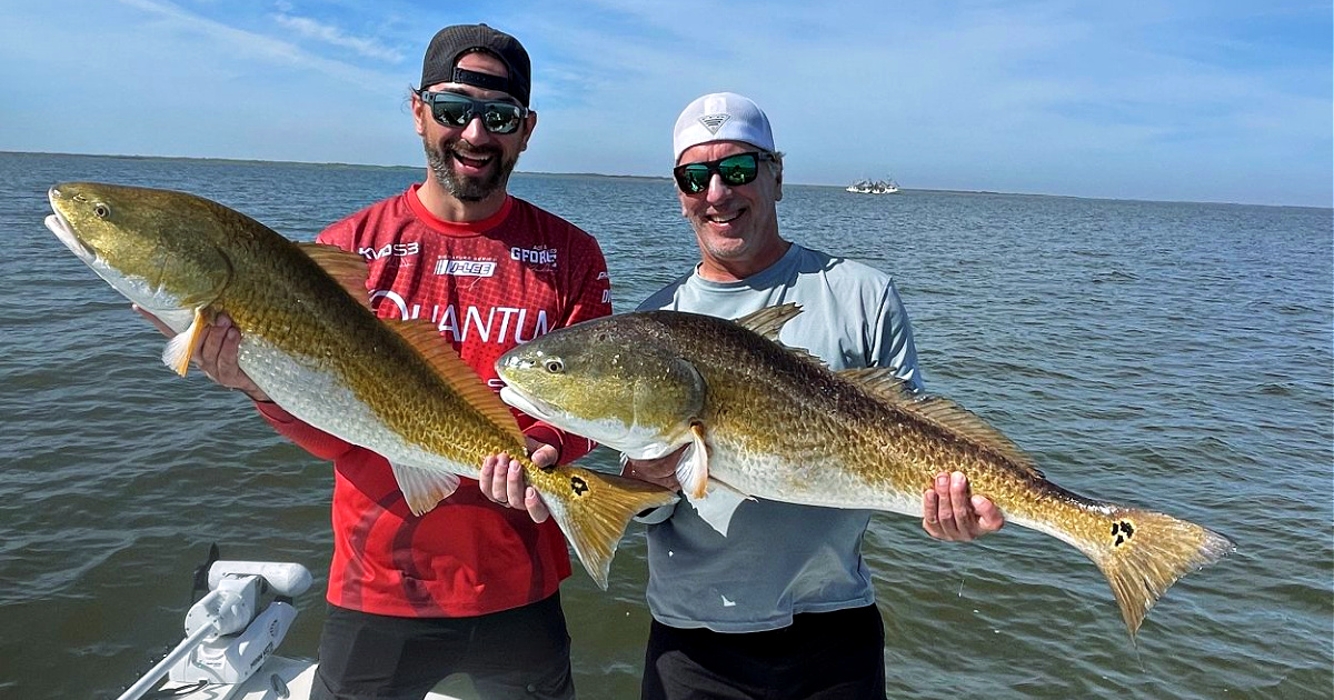 Chartreuse Sampler, Bridge Tactics, Shore Fishing (Salt Strong Newsletter)