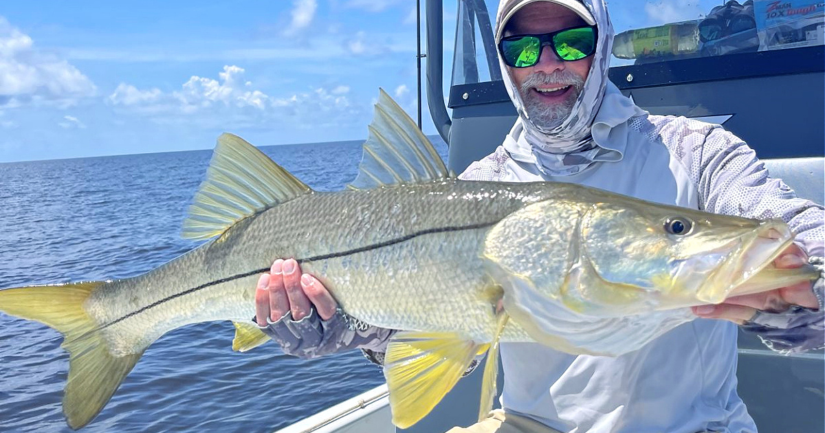 Bait Chum, Frog Lures, Inshore Reels (Salt Strong Newsletter)
