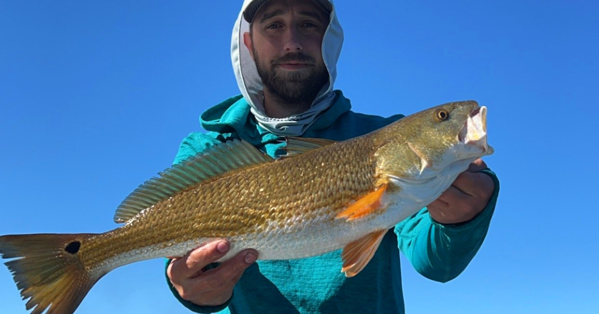 Underwater Proof, Lure Prototypes, Boat Noise (Salt Strong Newsletter)