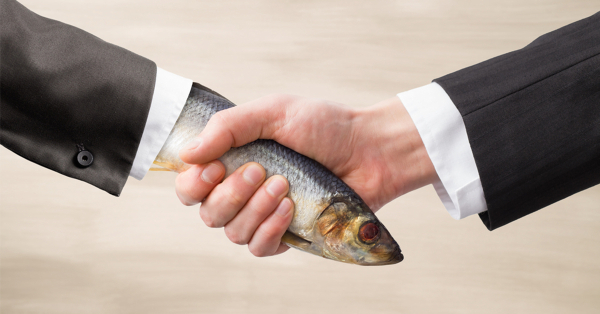 An Open Letter To PETA On Catch & Release Fishing