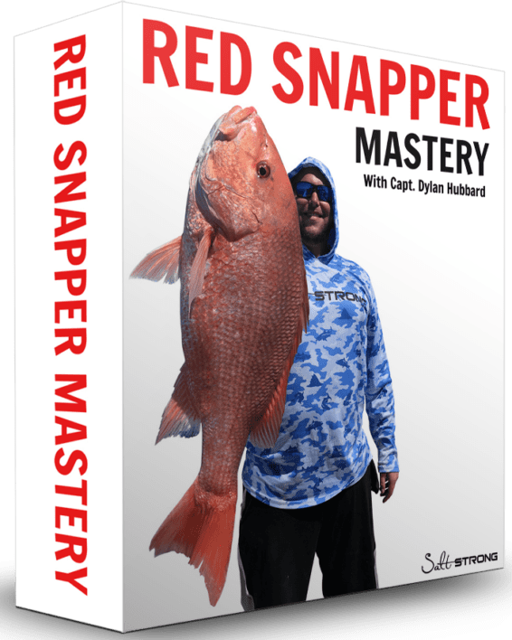 How To Catch Big Red Snapper Like A BOSS [VIDEO]