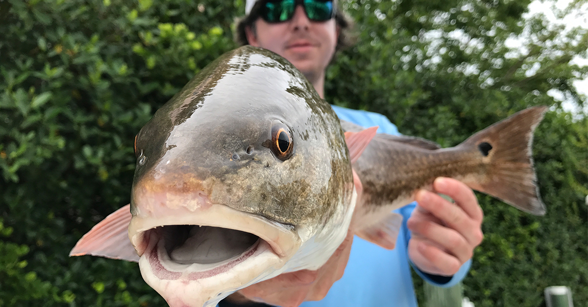Weird Trick To Find Actively Feeding Redfish On The Flats