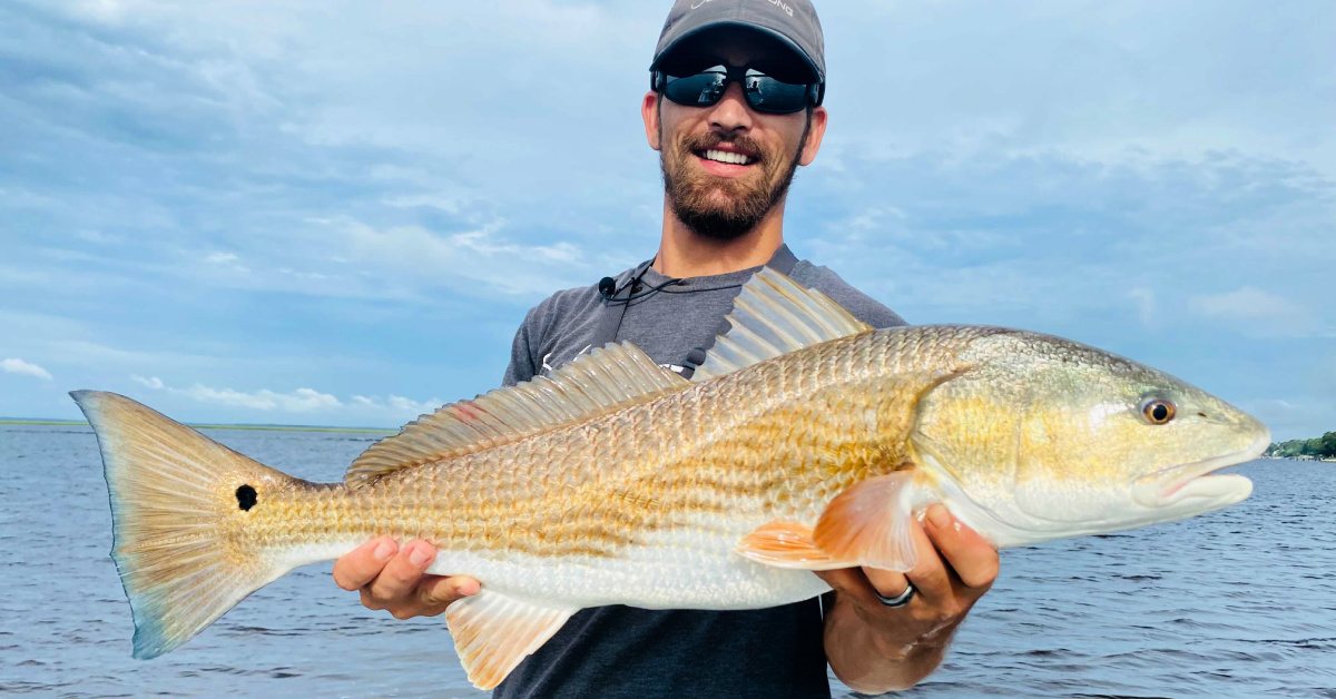 Redfish Bait Challenge: Dead Shrimp Vs Cut Mullet