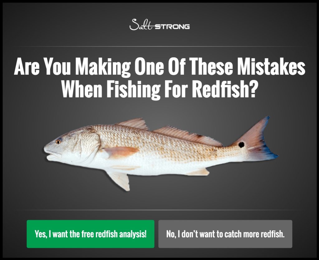 The Best Way to Cook Redfish [10 Amazing Redfish Recipes]