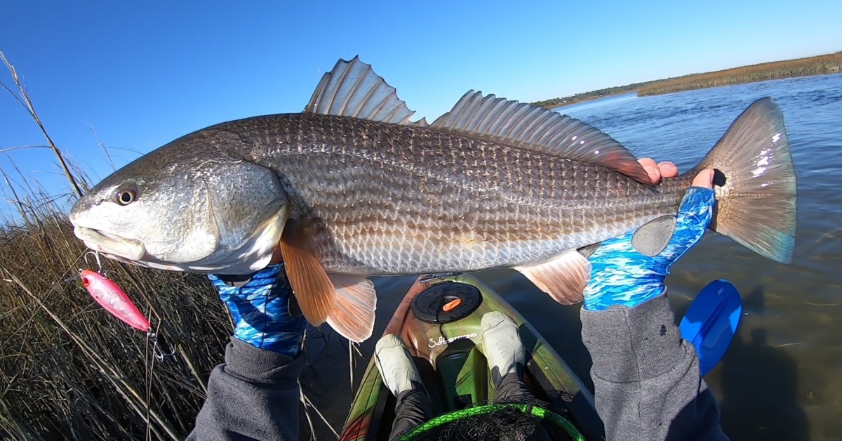 Flood Tide Tips To Catch Tons Of Redfish (Lures & Tactics)