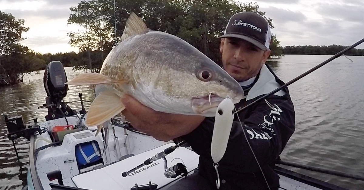 Why This Topwater Lure Is A Must Have In Your Spring Tackle Box