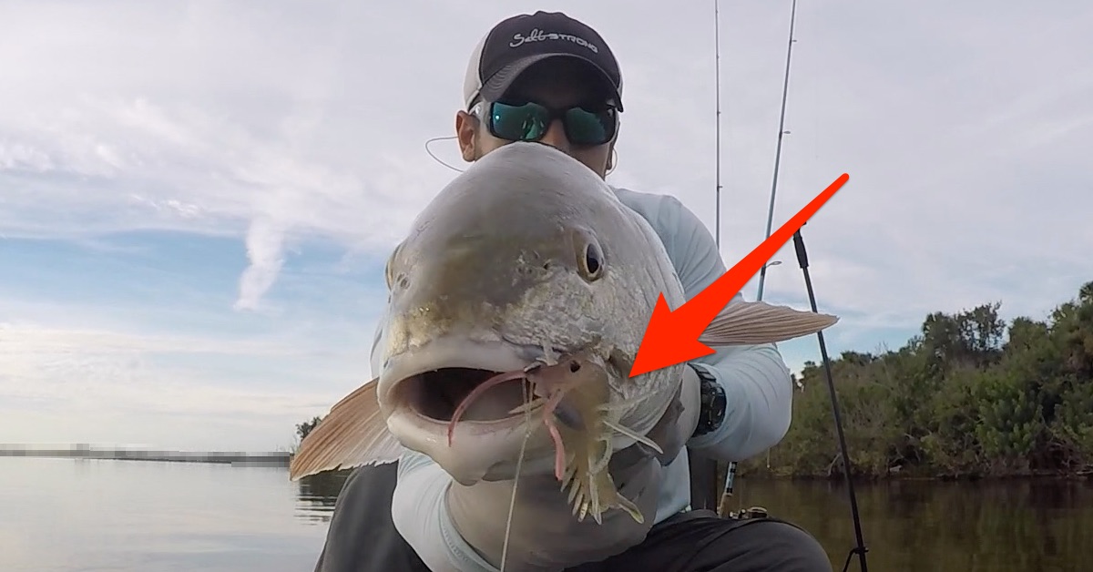 Chasebaits Flick Prawn: When To Use The Standard vs. Heavy Lure