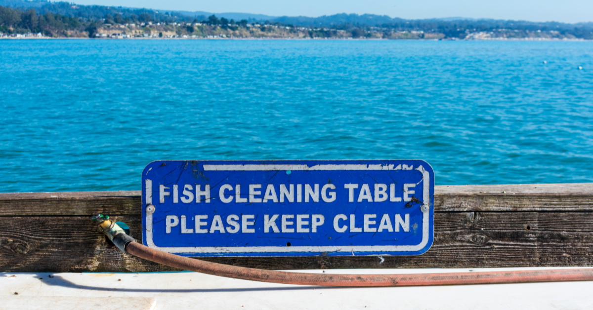 Using Pollution Mapping To Save The Indian River Lagoon