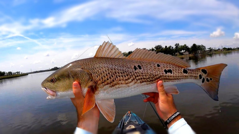 The Best Lures For High Current Situations (And How To Rig Them)