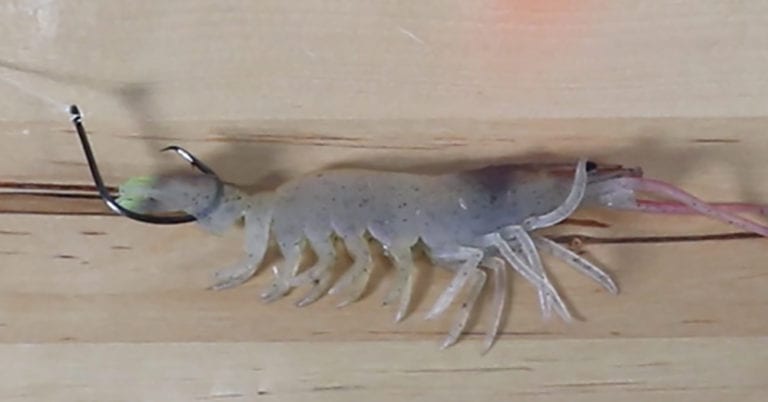 How To Rig A Shrimp Under A Popping Cork Like A Pro