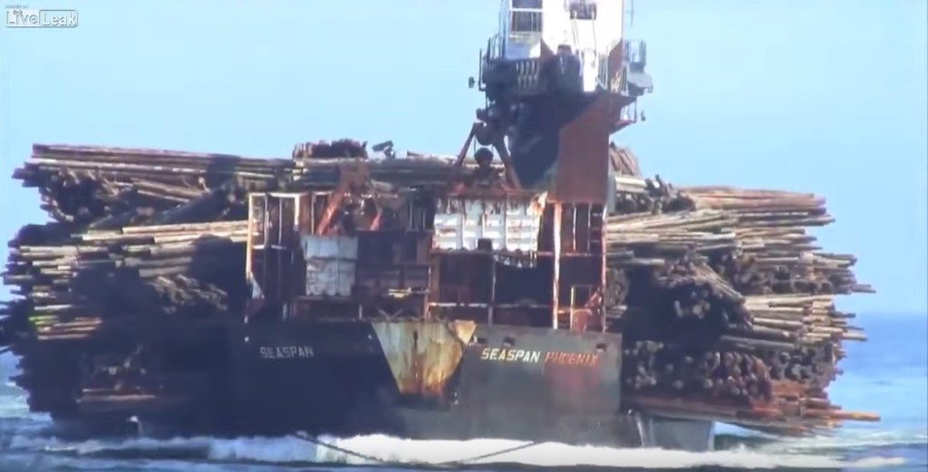 Wait til' You See This Unbelievable Logging Ship Dump Its Load!