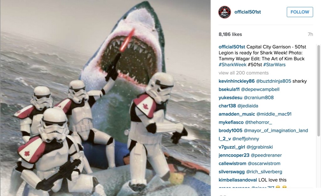 The Top 10 Shark Pictures On Instagram This Week.