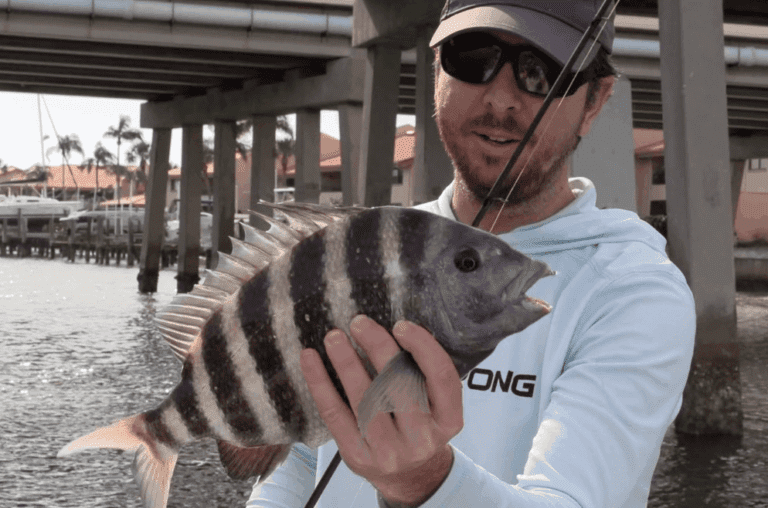 Top 3 Spots To Catch More Sheepshead This Winter