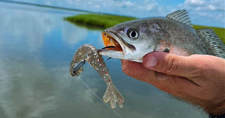 Best Types Of Spots To Fish An Incoming Tide