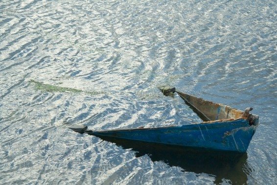 Top 6 Myths About "Bad Luck Bananas" On Fishing Boats (2019 UPDATE)