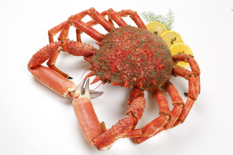 How To Catch, Clean, And Cook Spider Crabs [VIDEO]