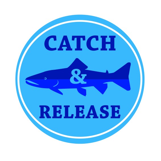 Must Know Catch and Release Fishing Tips For Saltwater Anglers.