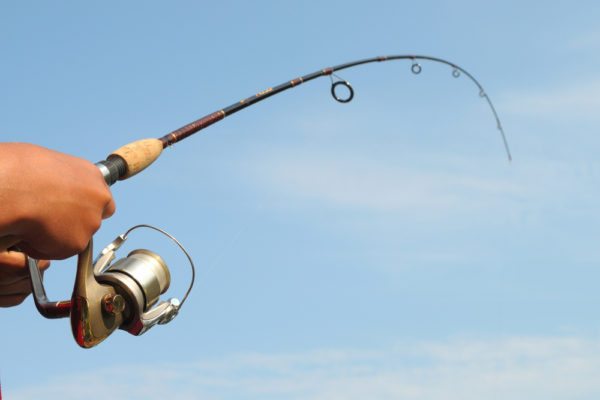 3 Tips For Catching Flounder On Artificial Lures