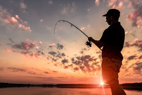 Wade Fishing 101: How To Maximize Your Time & Strikes While Wading