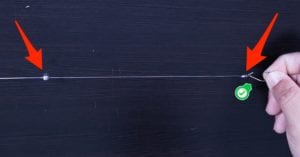 Top 4 Sheepshead Rigs (To Catch Sheepshead In Every Condition)