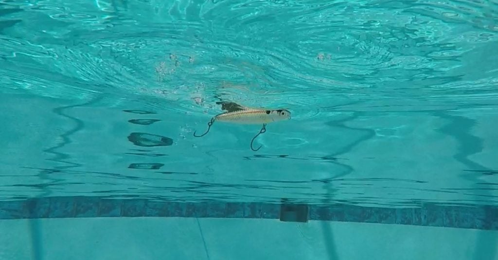 Rapala Skitter Walk Review & Tutorial [Underwater Footage]