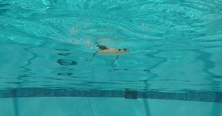 Rapala Skitter Walk Review & Tutorial [Underwater Footage]