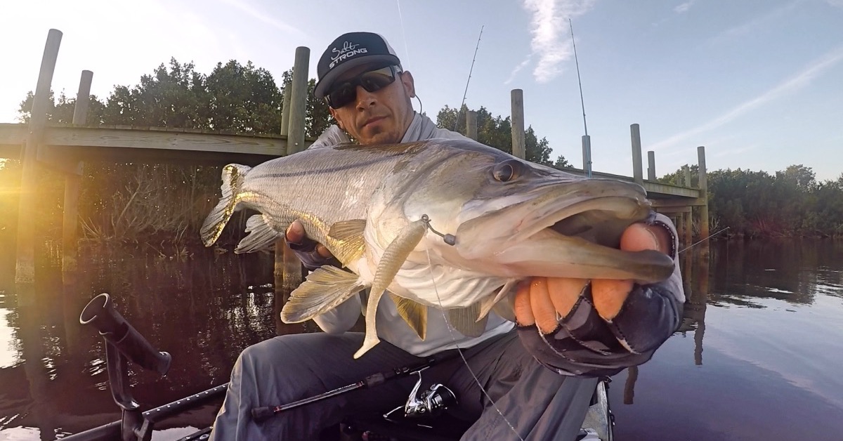 The Slam Shady Story (Celebrating National Paddletail Day)