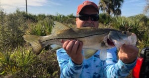 5 Keys To Catch Snook In The Winter From Shore [Plus Tarpon & Redfish]