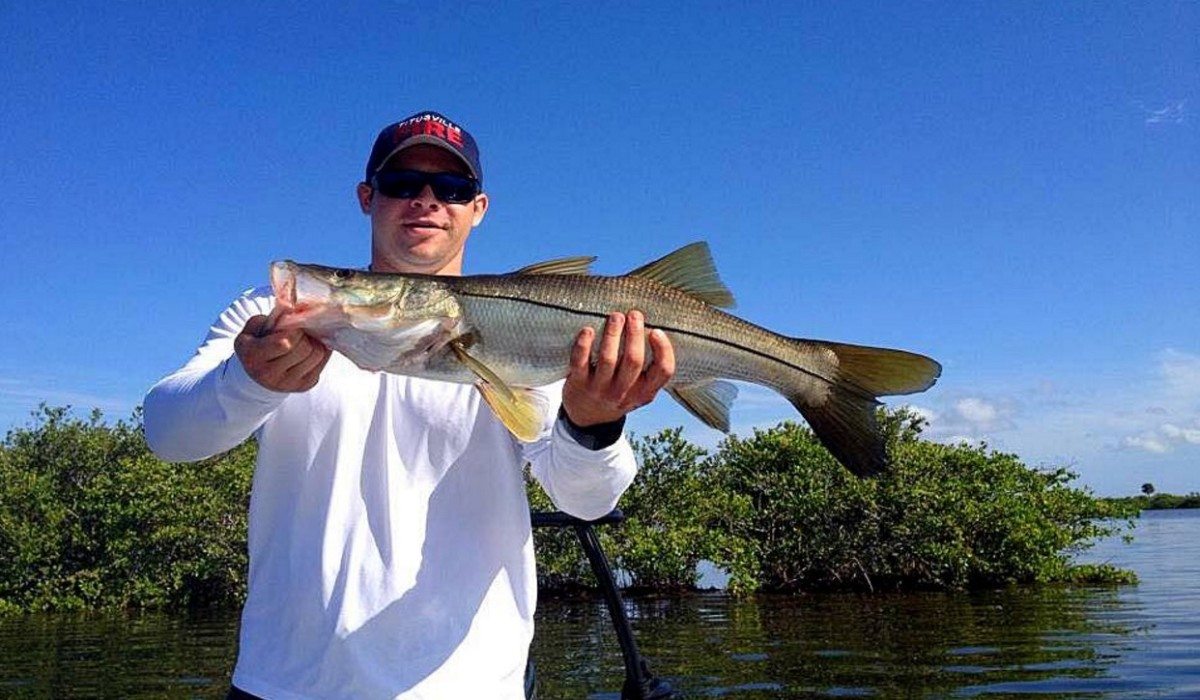 How To Properly Catch & Release Fish (Without Killing Them)