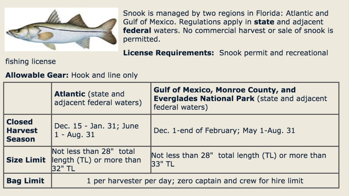 Are You Making These 3 Deadly Mistakes When Releasing Snook?