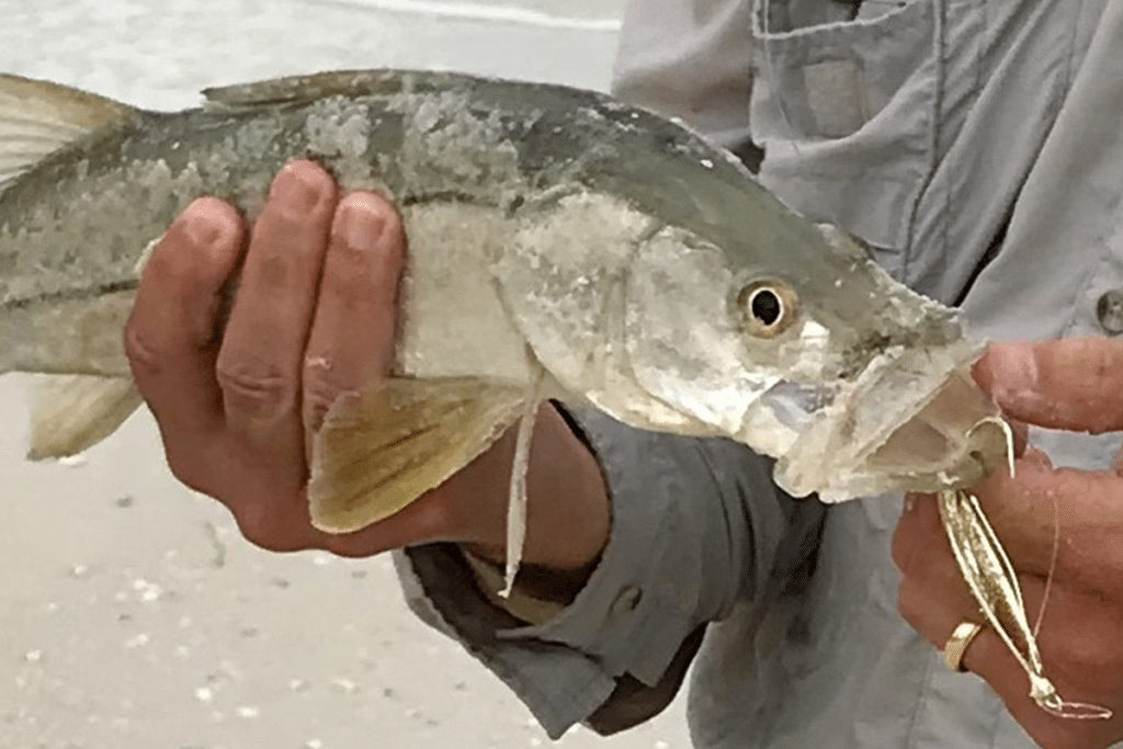 The Ultimate Guide To Picking, Rigging & Fishing With Weedless Spoons