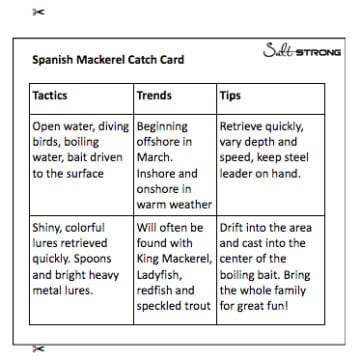 How To Catch Spanish Mackerel (Plus Free PDF Catch Card)
