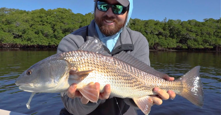 Finding Redfish After A Cold Front - Exploration Trip Report