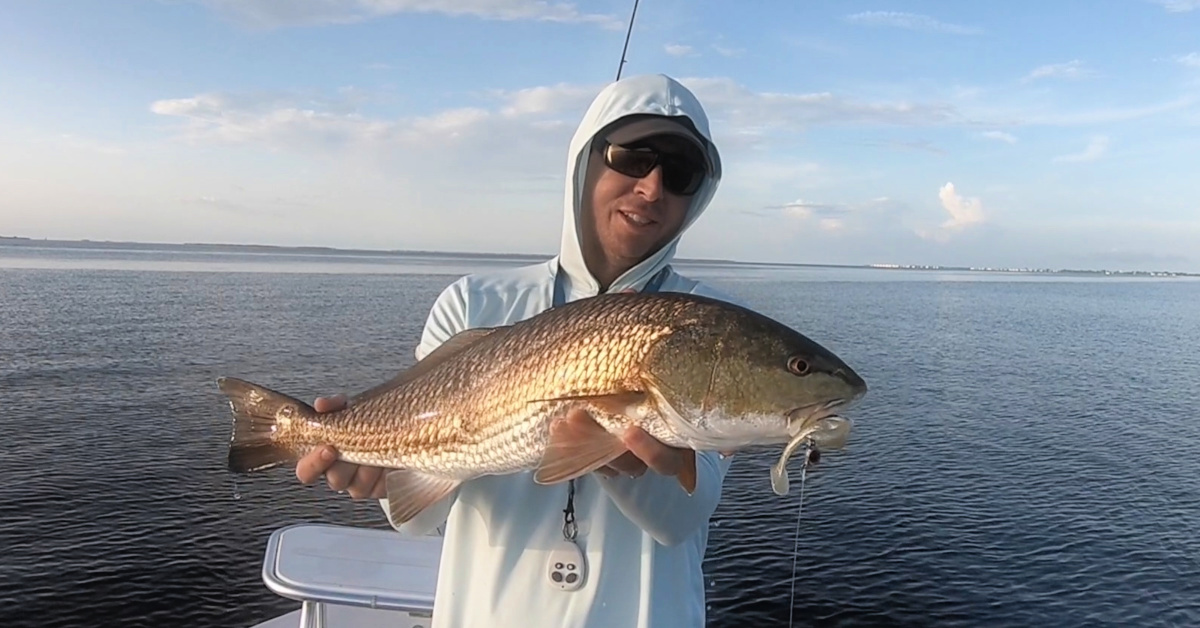 Texas Eye Jig Head Review (Pros, Cons, & Rigging Tips)