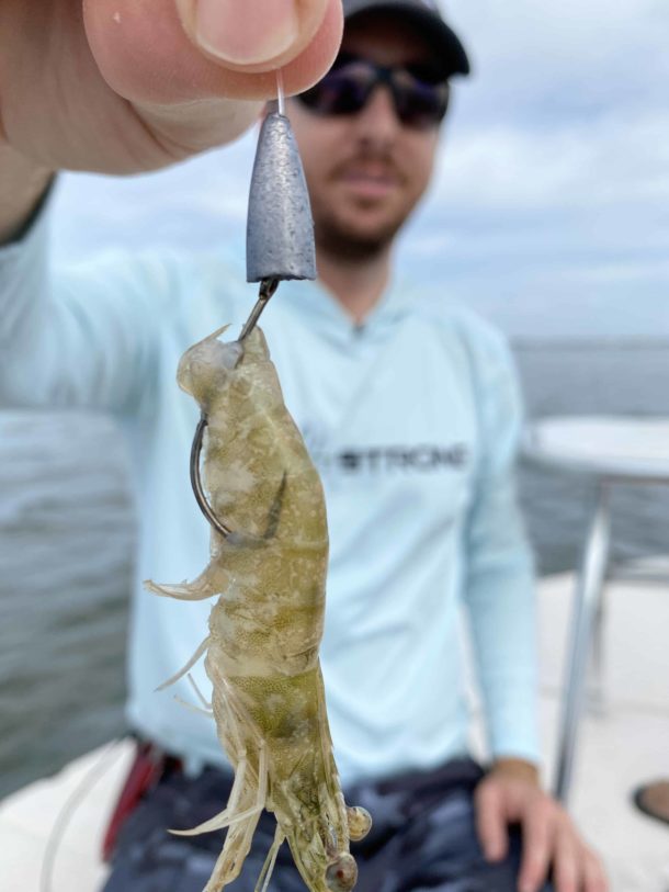 Top 4 Sheepshead Rigs (To Catch Sheepshead In Every Condition)