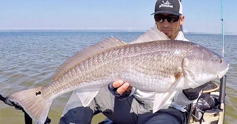 How To Stop Gut Hooking Fish With Circle Hooks (2 Tips)
