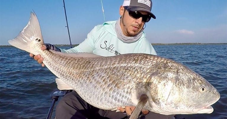 6 Tips To Keep Your Bait Alive Longer (And Catch MORE FISH)