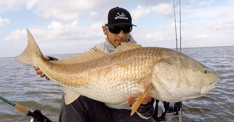 Where To Find & Catch Bull Redfish This Fall Like A Pro