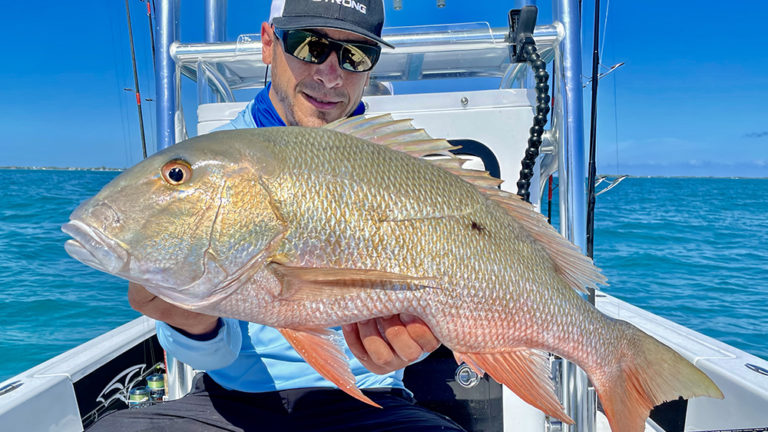 2 Ways To Rig FROZEN SHRIMP For Reef Fishing