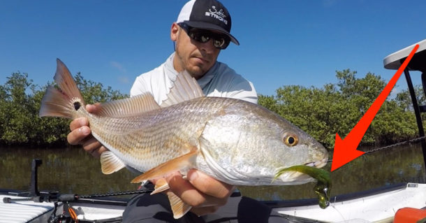3 Tips To Find Redfish (When Fishing In A New Spot)