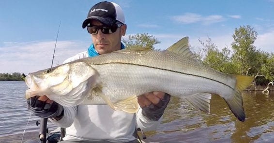 How To Catch Big Redfish, Trout, & Snook In Clear, Shallow Water