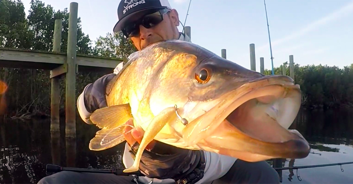 How To Avoid Gut Hooking Fish With Artificial Lures