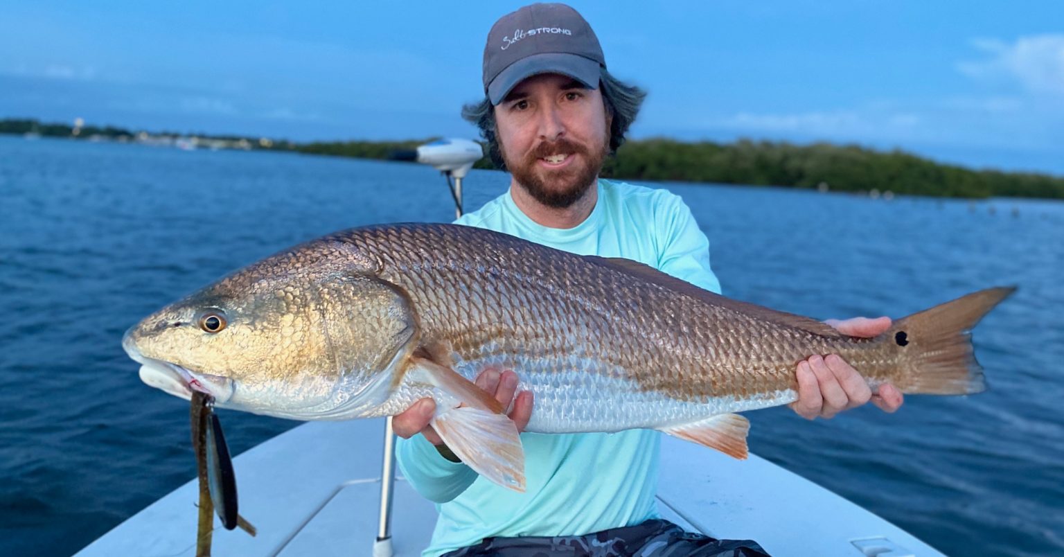 How To Find Feeding Inshore Saltwater Fish (Like The Pros)