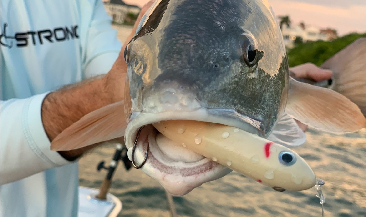 Topwater Rigging Mistakes To AVOID If You Don't Want To Get Skunked
