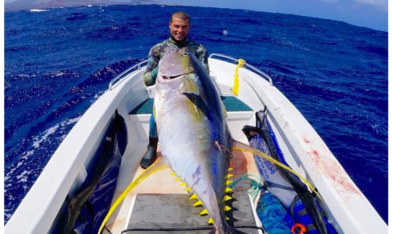 The Top 10 Tuna Pictures On Instagram This Week.